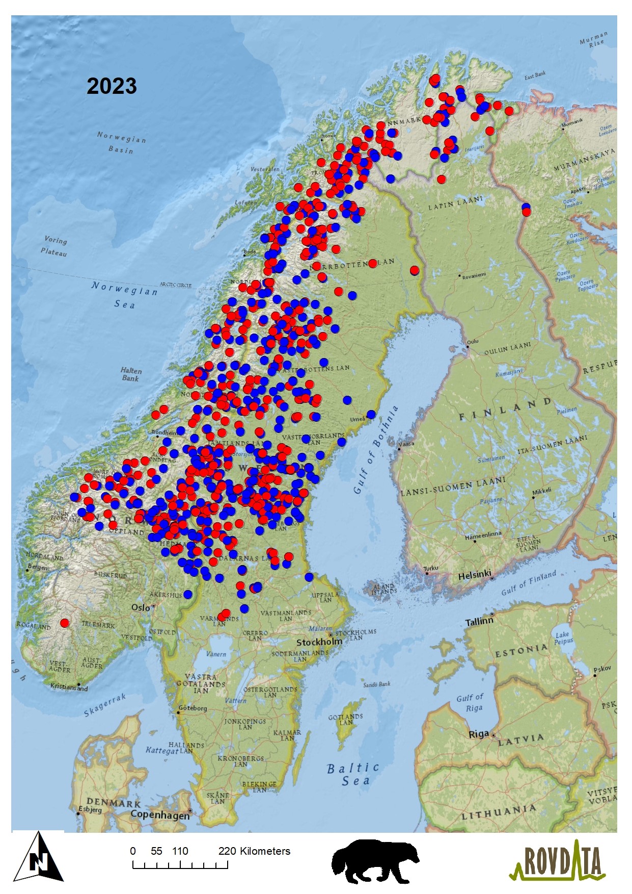 Flere jerver påvist på DNA i Norge